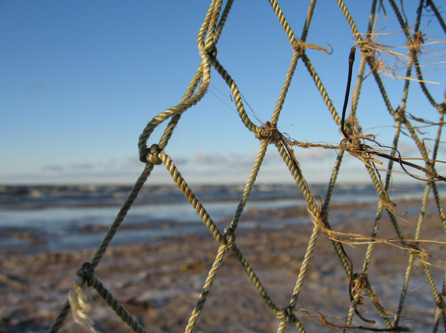 What is Netting? :: Knots Indeed: Beautiful and Practical Netting